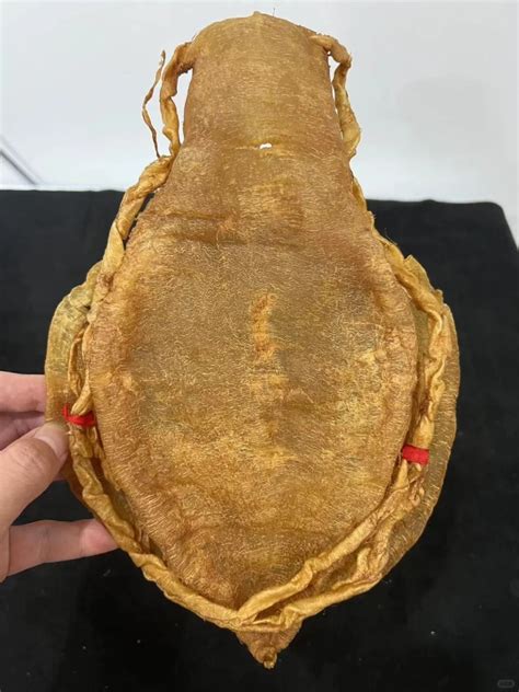 全港長期回收 專業收購 花膠 赤嘴膠 金錢膠 石肚赤嘴 厚肚赤嘴 紅雞赤嘴 蜘蛛膠 房膠 白花膠 燕窩 鮑魚 海參 各種保健食品 禮品 補品