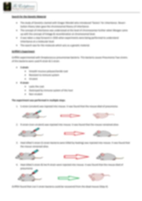 SOLUTION Molecular Bases Of Inheritence Part 1 Studypool