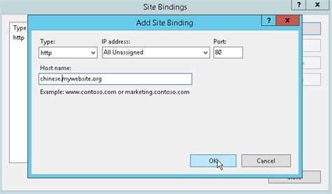 IIS How To Setup A Web Site Alex Domenici NET