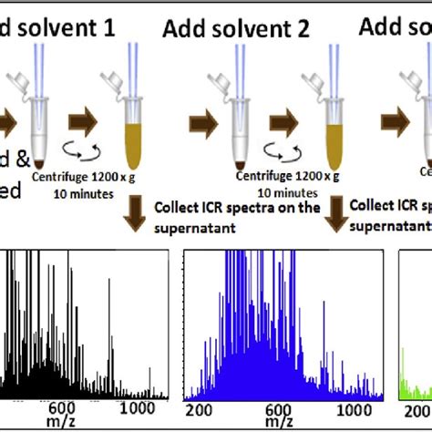 Schematic Diagram Of Our Sequential Extraction Protocol For Som