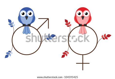 Male Female Twig Symbols Isolated On Stock Vector Royalty Free 104595425 Shutterstock