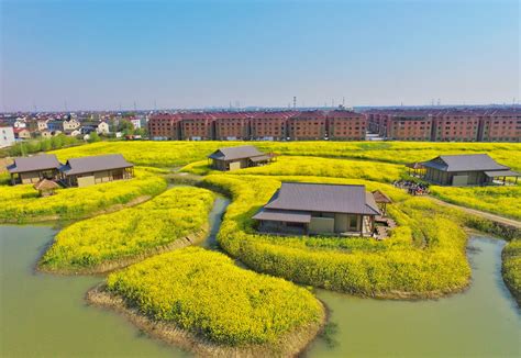 美丽乡村入画来 今日桐乡