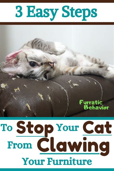 Stop Unwanted Scratching In Just 3 Easy Steps Cat Scratching Furniture Cat Advice Cat Parenting