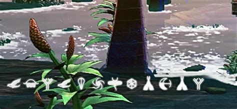 🍃 Nipnip Paradise 🍃 R Nomansskythegame