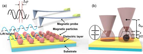 Schematic Illustration Of The Mfm Principle And The Electrostatic Download Scientific Diagram