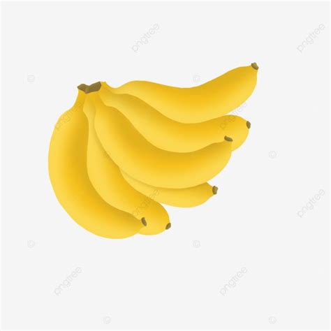 Banana Fruit Illustration Sweet Food Fried Banana Fruit Png