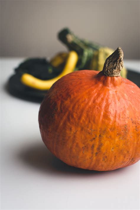 무료 이미지 칼 바자 겨울 스쿼시 자연 식품 호박 주황색 야채 쑥쑥 식물 과일 채식주의 자 음식 아직도 인생 사진 슈퍼 푸드 생기게 하다 현지