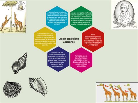 Mapa Mental Lamarck Docsity