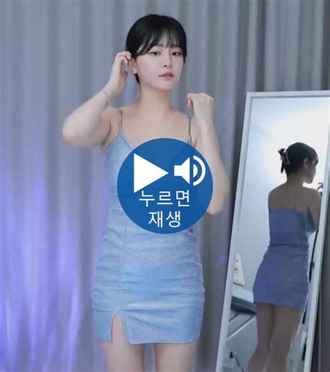 쵸단 뒷거울 코카인 입니다 치지직 에펨코리아