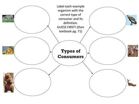 PPT Types Of Consumers PowerPoint Presentation Free Download ID 2812502