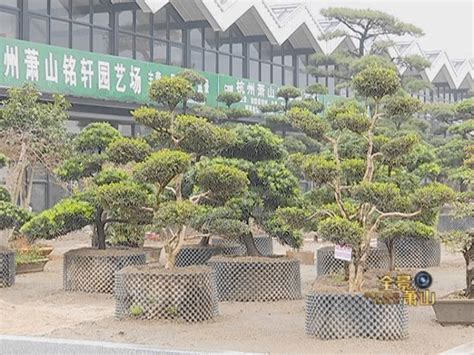 如皋花木城 如皋 大山谷图库