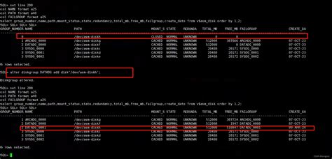 asm磁盘组扩容（虚拟化udev、磁盘组外部冗余） asm扩容 csdn博客