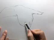 How To Draw A Vulva What Do Vaginas Look Like Xxx Mobile Porno Videos Movies IPornTV Net