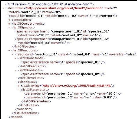 1 Segment Of An Sbml File Represent A Part Of The Spirallus Network Download Scientific Diagram