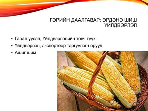 Газарзүй 11 р анги Дэлхийн Хөдөө аж ахуй Pdf