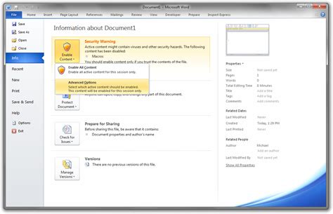 Macro Security Word INSPECTEXPRESS V INSPECTEXPRESS