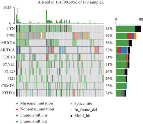 Somatic Mutation Summary Plots And Oncoplots Between The A B High
