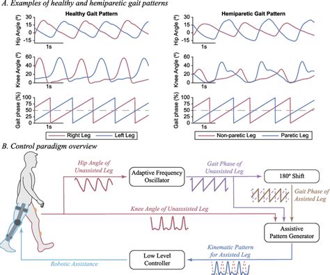Control Paradigm A Examples Of Healthy And Hemiparetic Gait Patterns Download Scientific