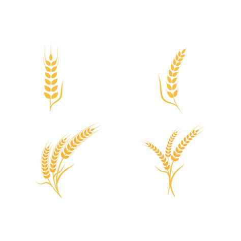 Agriculture Wheat Vector 17746492 Vector Art At Vecteezy