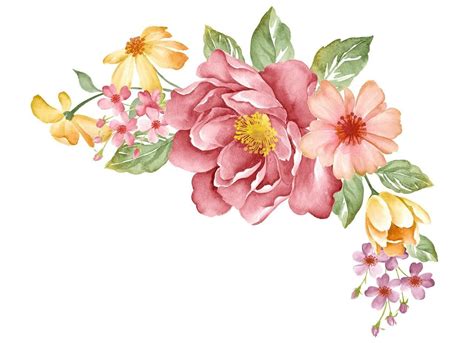 Клипарт цветы на прозрачном фоне Zefirka Club фото и картинки