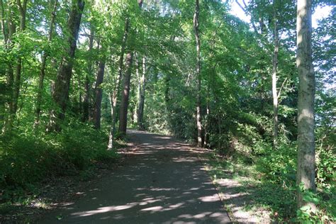 Park Authority Developing A Park Access And Equity Strategy Annandale