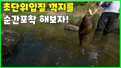 초단위 입질하는 꺽지를 순간포착 해보자 Youtube