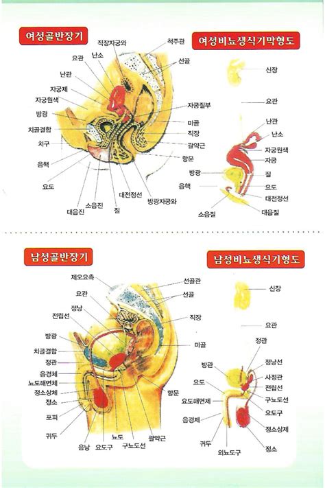 손의 신체부위별 지압점 보도자료 휴먼레이저
