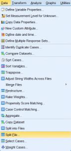 Grouping Or Splitting Data In SPSS HKT Consultant