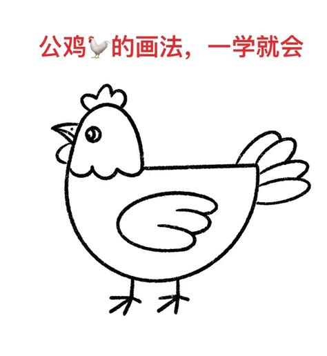 公鸡的简笔画 苗苗知道