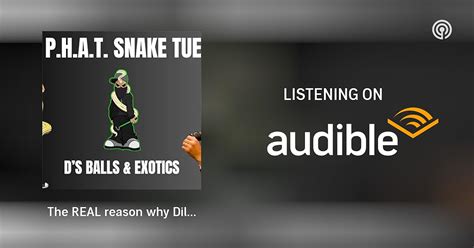 The Real Reason Why Dillon Parted Ways From Reticulated Pythons Ds Balls And Exotics Trap