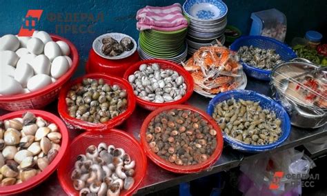 Отдых без проблем как не отравиться летом на Черноморском побережье Краснодарский край