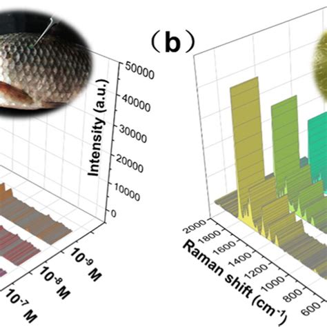Application Of Dna Hydrogel Sers Biofilm For Detecting Real Aquatic