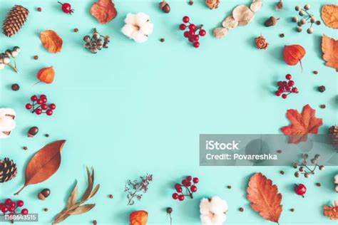 가을 또는 겨울 구성 말린 잎 파스텔 블루 배경에 면화 가을 가을 겨울 컨셉 플랫 레이 상단 보기 복사 공간 가을에 대한 스톡 사진 및 기타 이미지 Istock