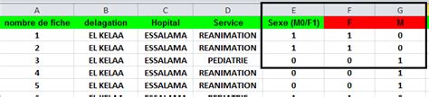 Gender Fields In The Excel Spreadsheet Download Scientific Diagram