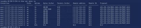 Ipsec VPN With Vyos 1 2 Showing All The Tunnels As Tunnel1 General Questions VyOS Forums