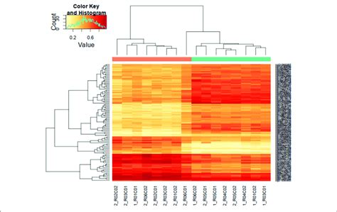 Hierarchical Clustering Of Highly Differentially Methylated Download Scientific Diagram