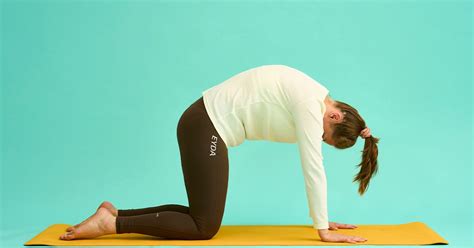 Katten Træning Til Lænden Video Iform Dk