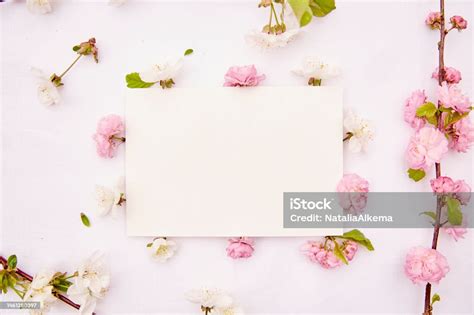 봄 흰색과 분홍색 꽃문구 카드 모형 로맨틱 결혼식 생일 초대 어머니의 날 모의 카드 개념을 조롱 공간을 복사합니다 위쪽 보기 데이지속에 대한 스톡 사진 및 기타 이미지