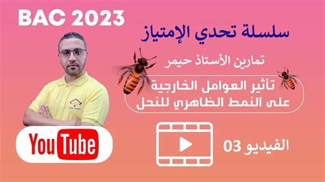 باكالوريا 2023 مسعى علمي تأثير العوامل الخارجية على النمط الظاهري للنحل الأستاذ حيمر Youtube