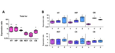 1 Boxplot Of Rt Qpcr Data Of Lsr Mrna Expression In Different Brain