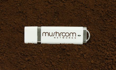 We Grew Some Mushroom Networks Usbs
