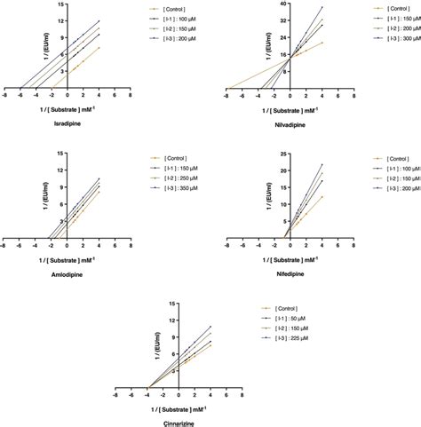 Lineweaver‐burk Curves Used To Determine The Ki Constants And Download Scientific Diagram