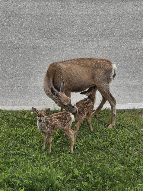 Precision Arc Industries Now Its Looking Like A Capable Machine Long Ways To Go Yet Facebook