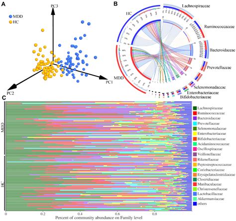Differential Gut Microbiota Compositions Between The Two Groups A