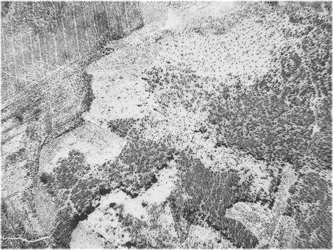 Example Photos Of The Study Area Showing Varying Forest Density On 24