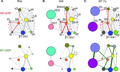 Correlation Network Analysis Reveals Similar Patterns Of Download