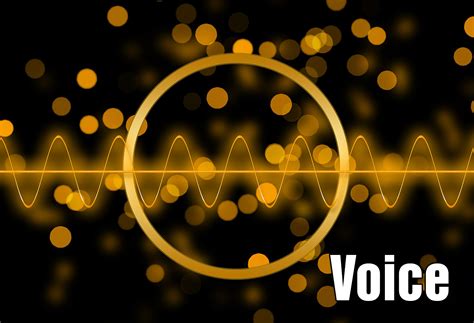 DTA | Voice