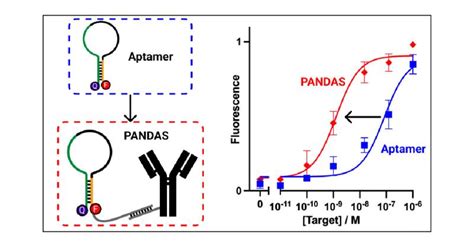 Dehui K On Linkedin Aptamerantibody Chimera Sensors For Sensitive