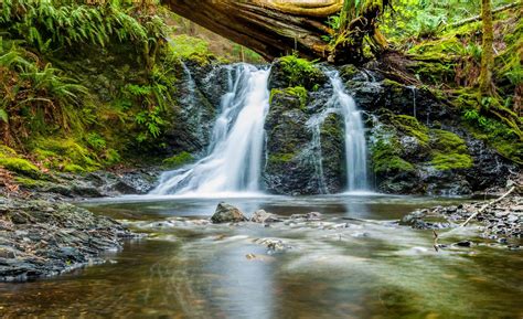 Best Natural Swimming Holes You Can Swim In Tripelle