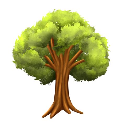 Elemento De árbol Estético Para Decoración PNG árbol Decoración